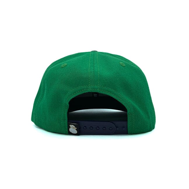 No Snakes Allowed - Kelly Green Snapback Cap – Million Dolla Motive