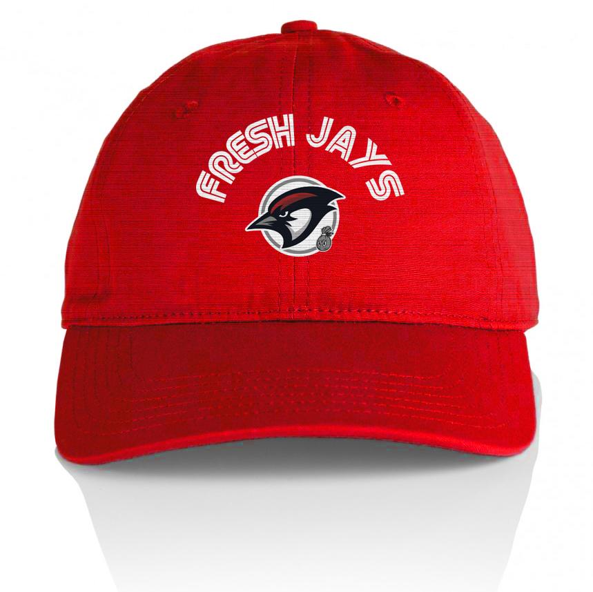 Fresh Jays - Red Dad Hat – Million Dolla Motive